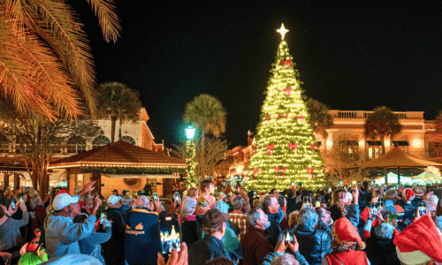 The Villages - Florida's Friendliest Active Adult 55+ Retirement Community